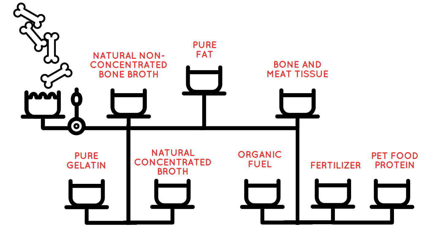 Infographic: Processing Bone by-products and Turns Bones into ...